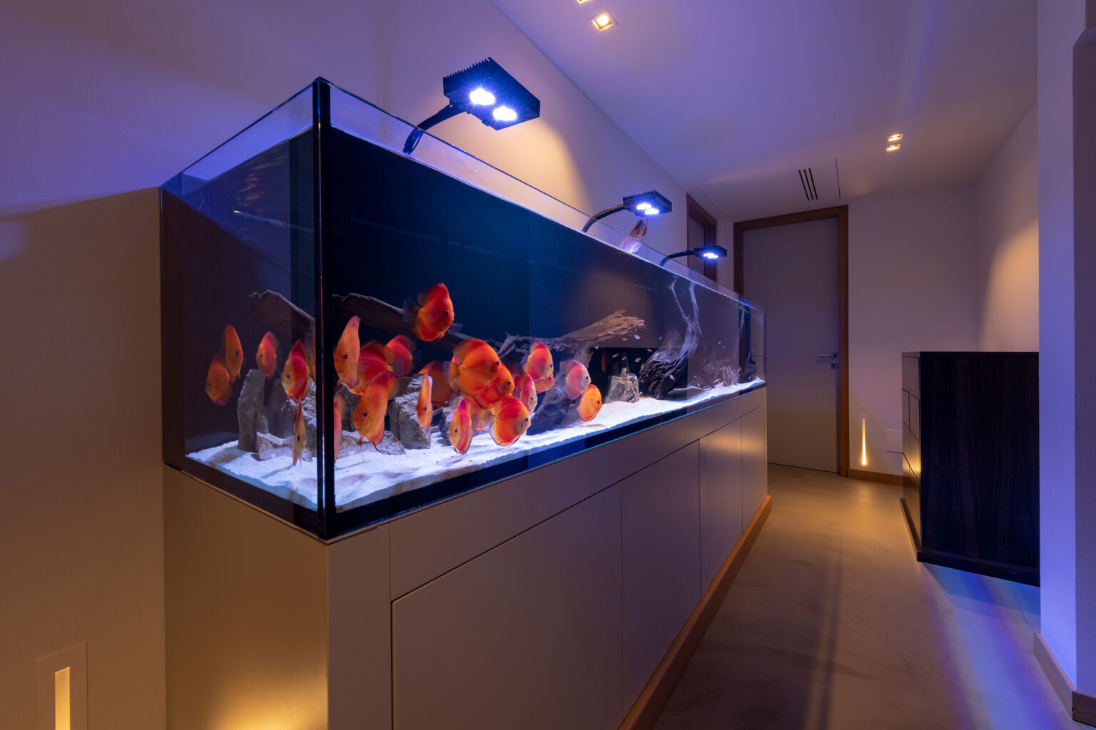 Acrylic or glass aquarium | MELIK Luxury Aquariums